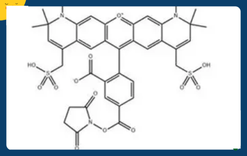 红色荧光染料AF 594活性酯,Alexa Fluor 594 NHS ester,CAS:295348-87-7 - 知乎