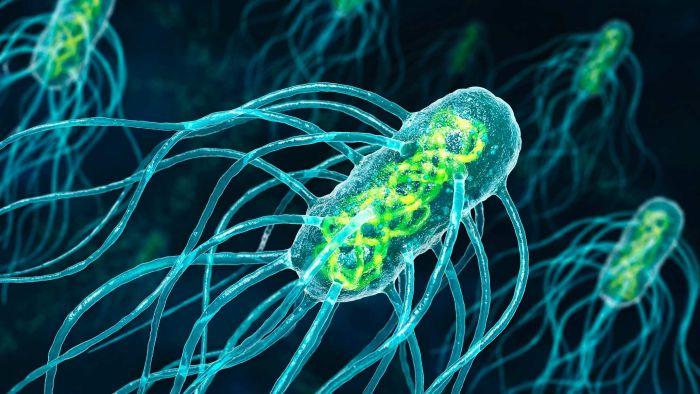 BacPROTAC来了！降解细菌蛋白，有望开发新型抗菌药物 - 知乎