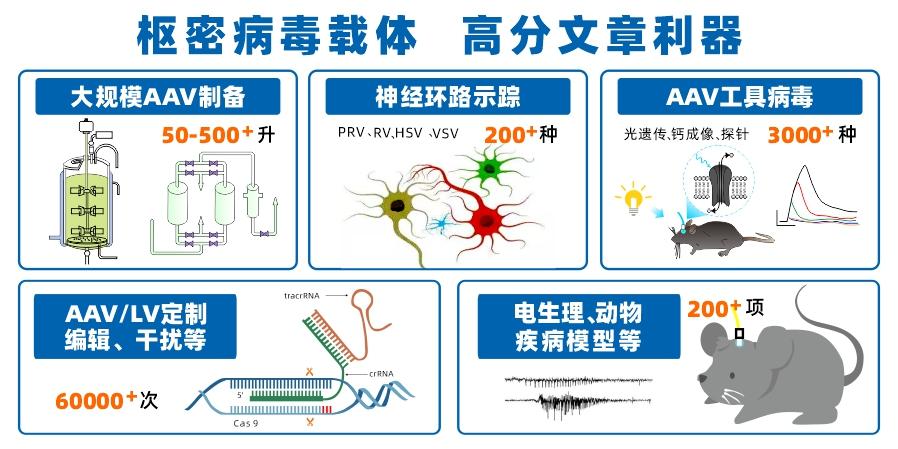 AAV感染肺部的注射方式有哪些？ - 知乎
