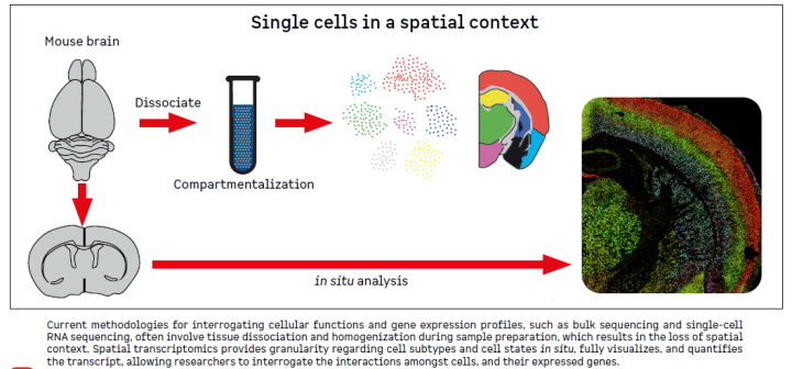 空间生物学（Spatial Biology）技术选择指南 - 知乎