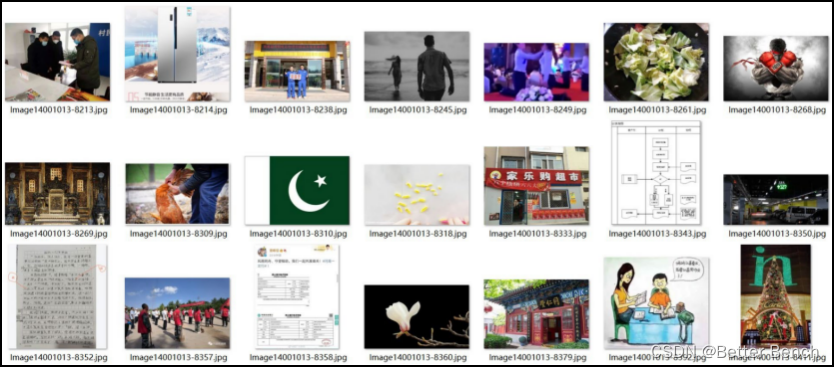 【2024泰迪杯】B 题：基于多模态特征融合的图像文本检索Python代码Baseline - 知乎