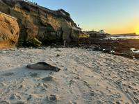 23Fall CS美硕申请总结 - 知乎