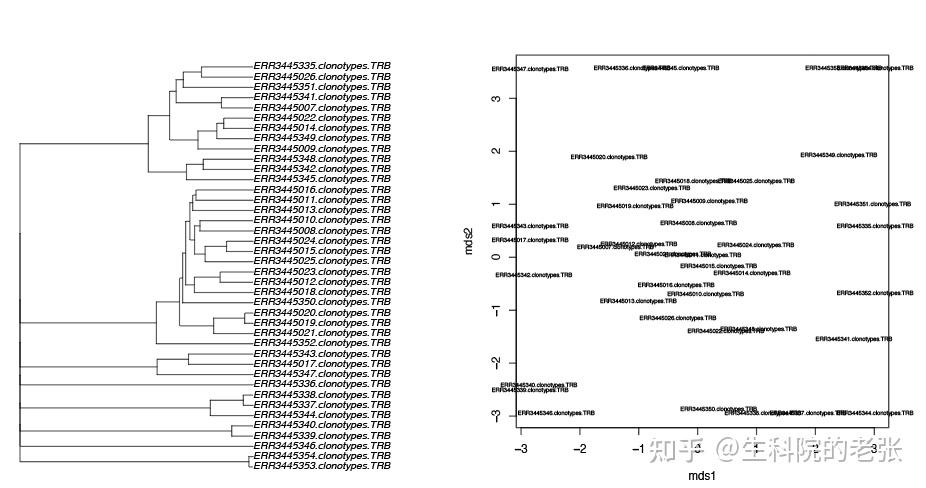 全网第一篇免疫组库分析教程[MiXCR+VDJtools+Python+R] - 知乎