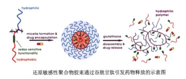 PCL-SS-PEG-SS-PCL 聚己内酯-SS-聚乙二醇-SS-聚己内酯 - 知乎
