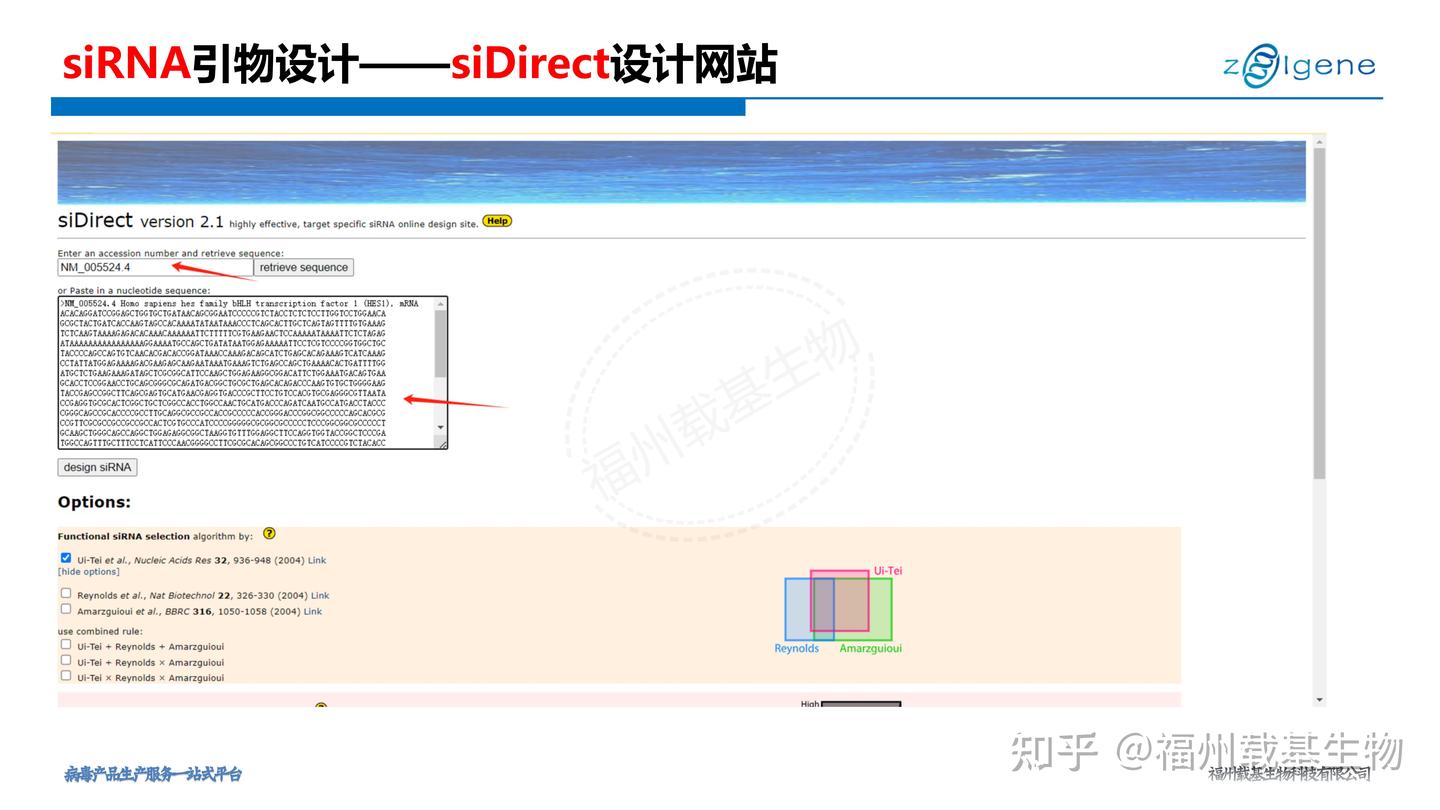 siRNA与shRNA引物设计 - 知乎