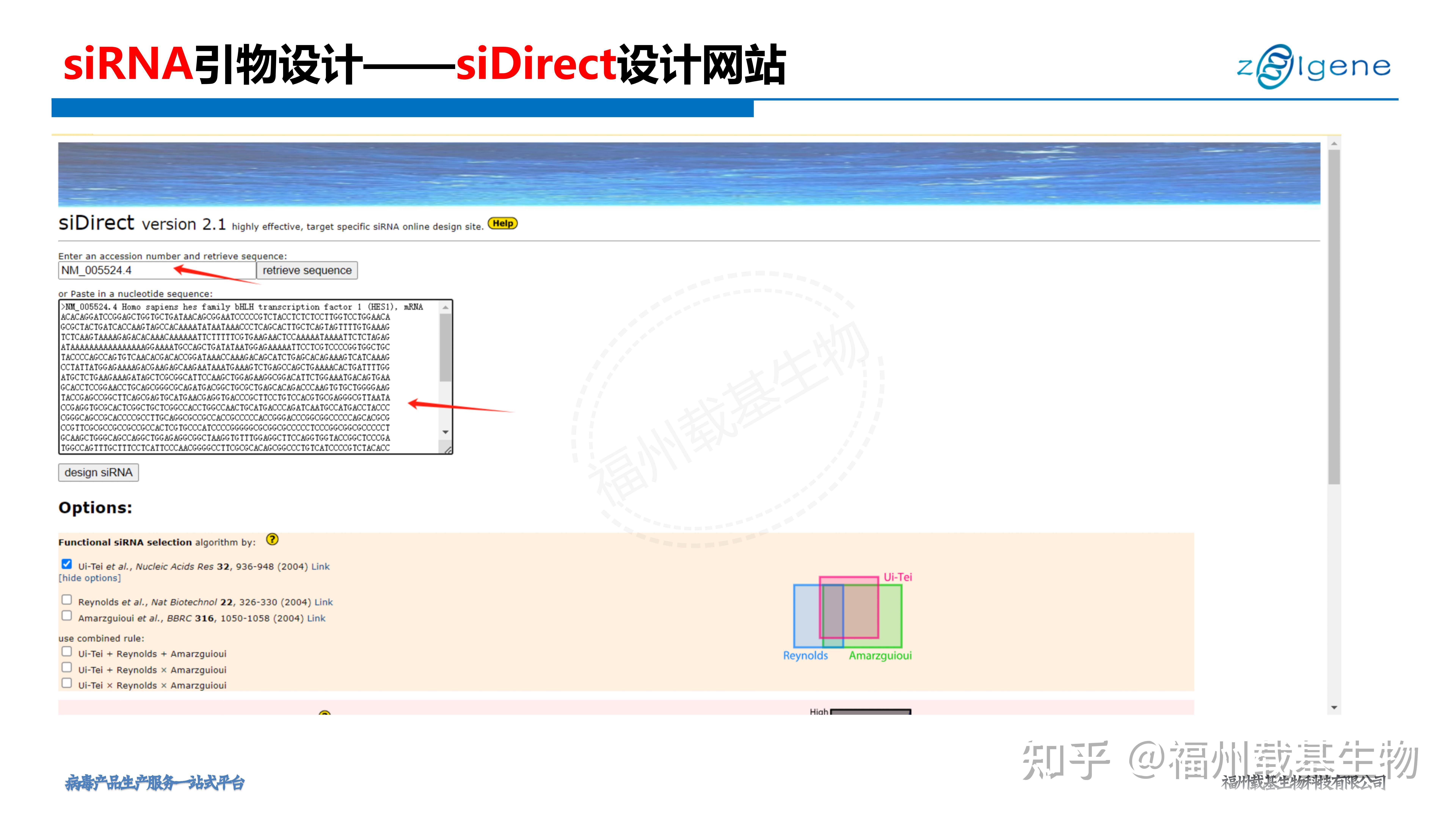 shRNA设计原则是什么？ - 知乎