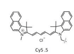 N3-PEG-CY7/CY5.5/CY7.5，叠氮标记荧光染料,azide修饰PEG化CY荧光染料 - 知乎