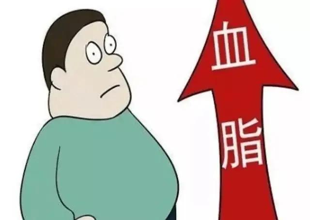 高血脂患者还能喝酒吗？ 知乎