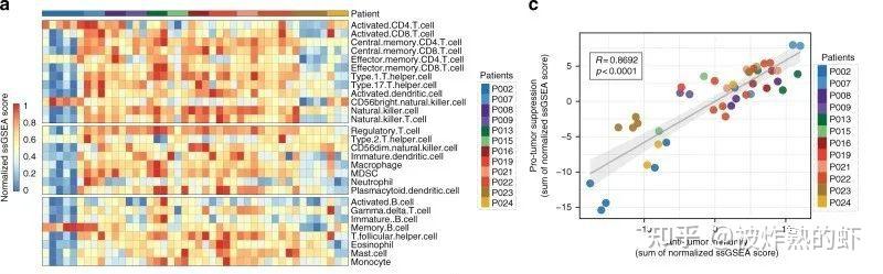 免疫浸润 | ssGSEA 简述与实践 - 知乎
