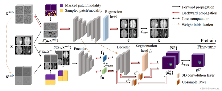 论文阅读笔记——M3AE:缺失模态下脑肿瘤分割的多模态表征学习 - 知乎