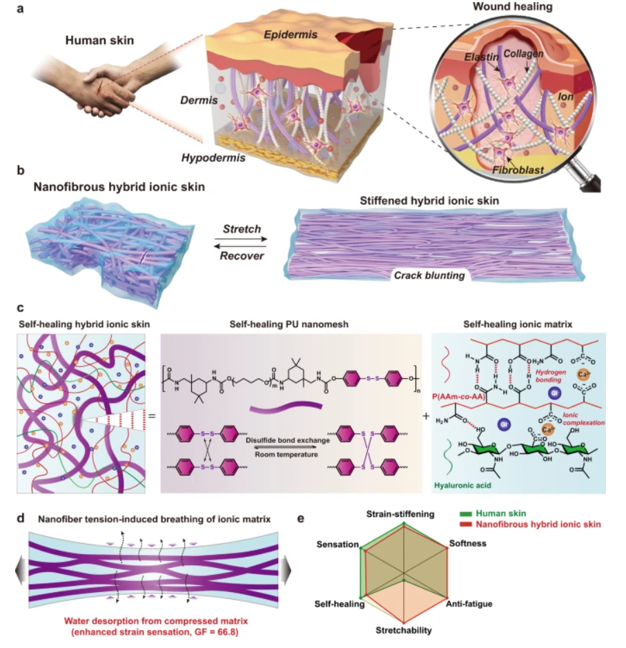 《Nat. Commun.》期刊2022年5-7月关于“静电纺丝与纳米纤维”的4篇论文 - 知乎