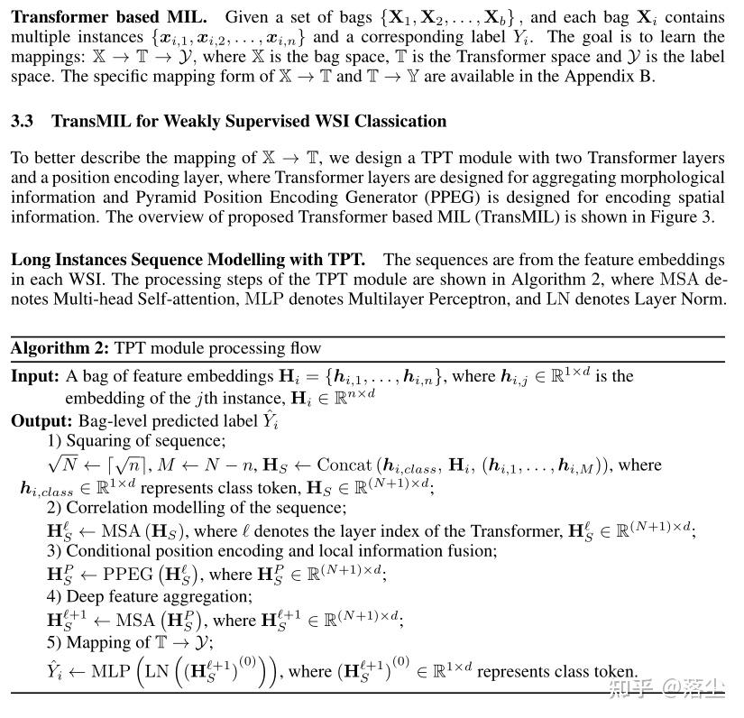 TransMIL: Transformer based Correlated MIL for WSI Classification【NeurIPS2021】 - 知乎