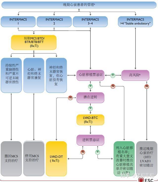 怎样判断心力衰竭的程度？具体呢 ？？？ - 知乎