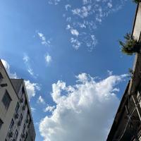 国际快递里的货物类型WPX, PAK, DOC分别是什么意思？ - 知乎