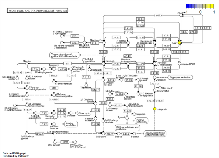 如何用Pathview画出高大上的基因与代谢通路热图？ - 知乎