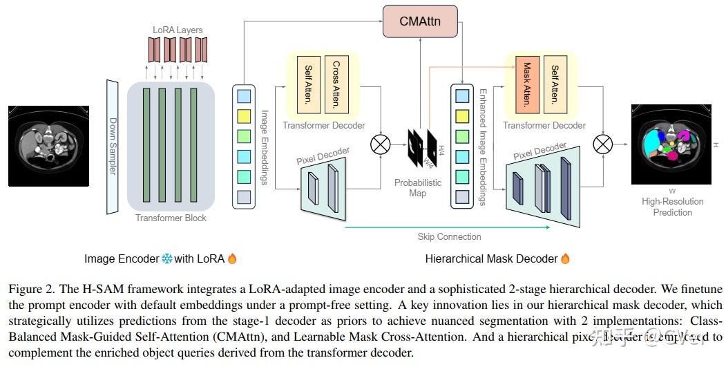 CVPR 2024 | 显著涨点！H-SAM：通过分层解码释放SAM在医学适应方面的潜力 - 知乎