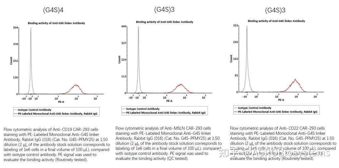 【特色新品】通用型CAR阳性率检测工具——兔抗G4S Linker抗体 - 知乎