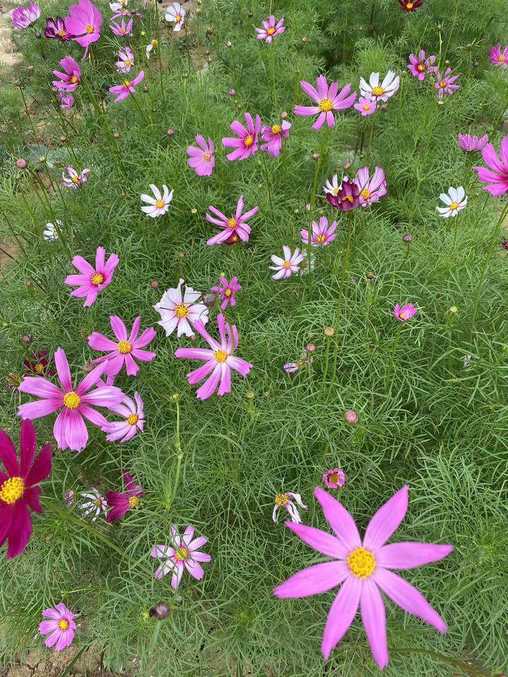 平凡往事--K君 - 知乎