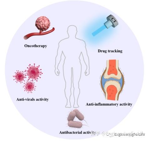 《AHM》综述：药物自给药系统--分子设计、构建策略及生物应用 - 知乎