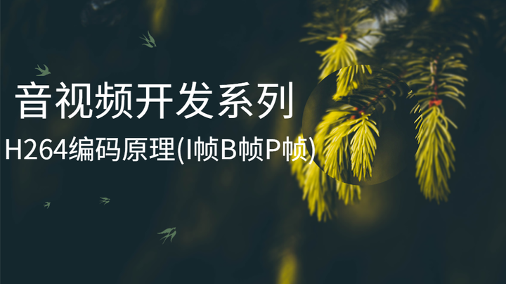 H264编码原理i帧b帧p帧 知乎 