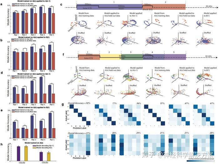 怎样使用MATLAB分析双光子钙成像suite2p的结果 ？ - 知乎
