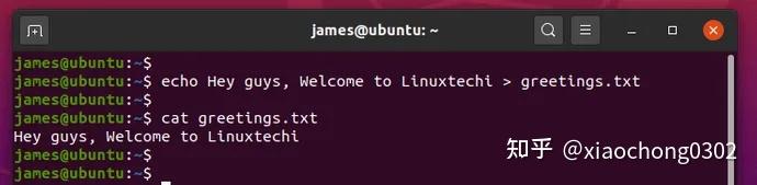 通过 16 个案例完全掌握 Linux Echo 命令 - 知乎