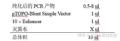 TOPO-Blunt Simple Lightning Cloning Kit - 知乎