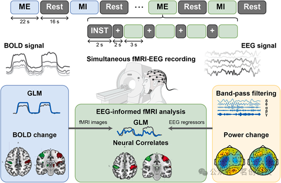 从电活动到血流响应：EEG-fMRI融合分析揭示运动执行与想象条件下的神经血管耦合 - 知乎