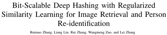 基于正则相似度学习的位可扩展深度哈希算法用于图像检索和人物重识别 - 知乎