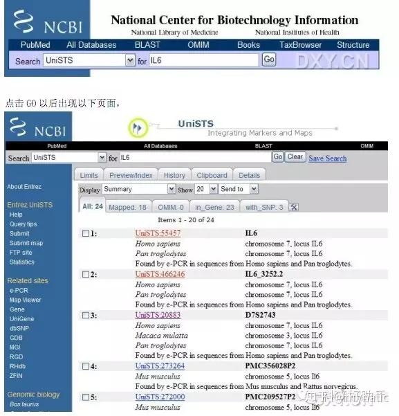 一步一步教你使用 NCBI 查找DNA、mRNA、cDNA、 引物设计、BLAST 序列比对等 - 知乎