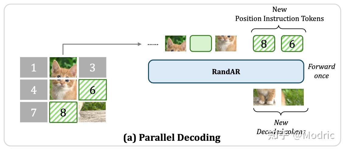 Paper阅读：RandAR 随机顺序自回归生成 - 知乎