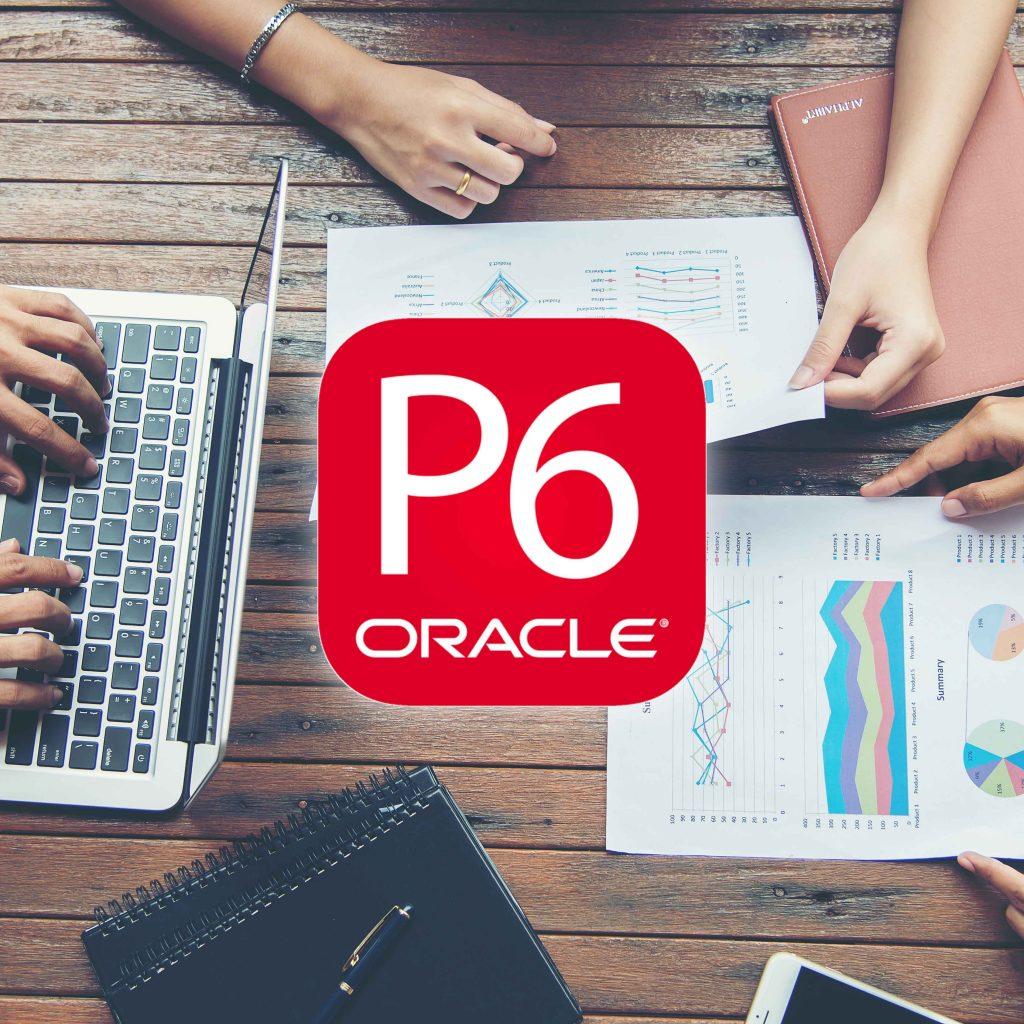 Oracle P6项目管理软件 - 知乎