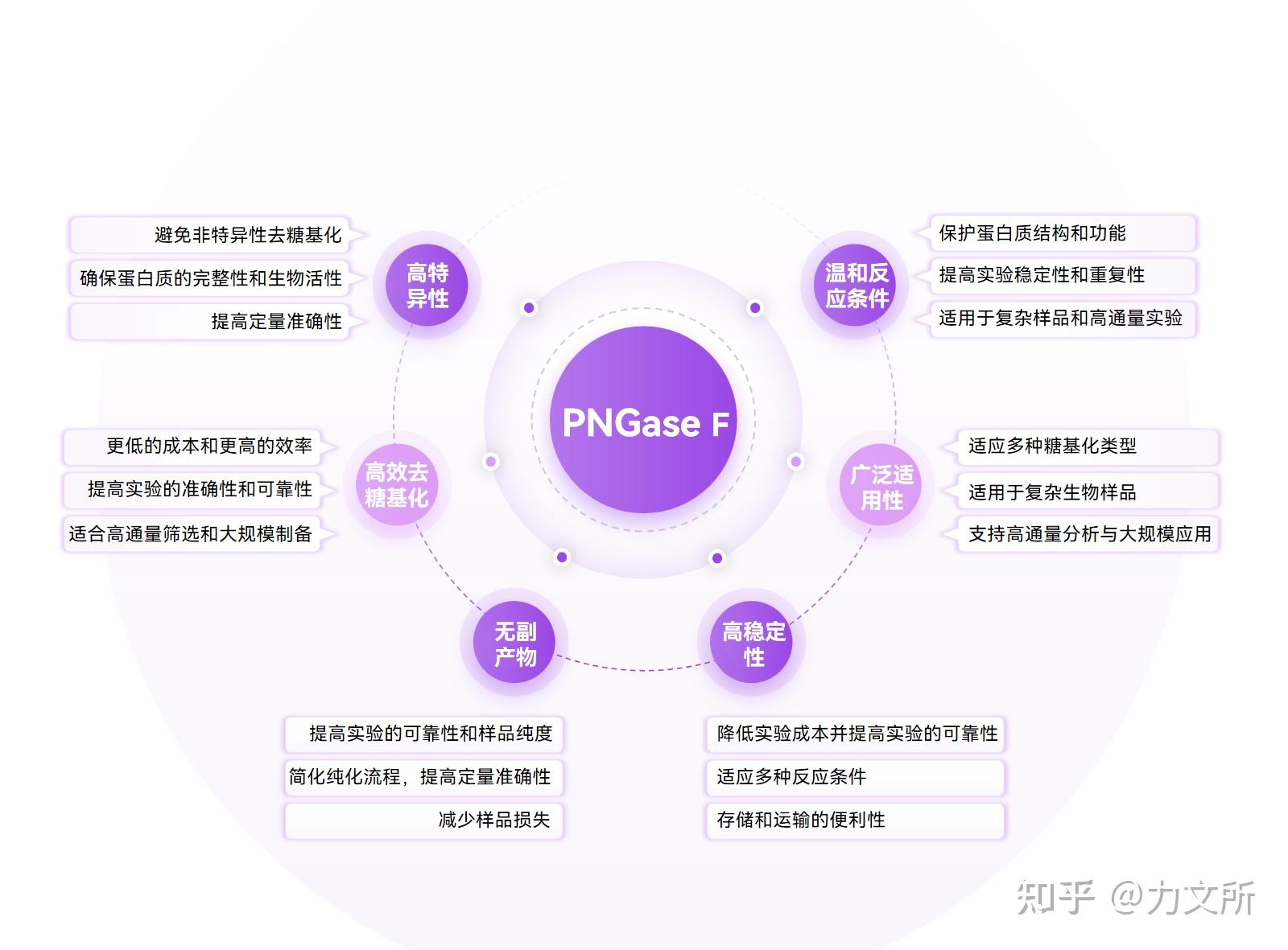 干货！全面解读PNGase F：从原理到应用，一文掌握（上） - 知乎