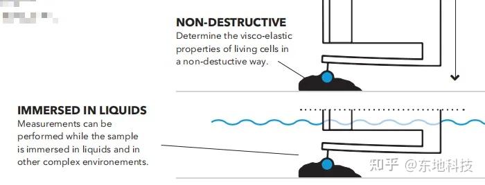 Optics11 Life Piuma Nanoindenter - 知乎