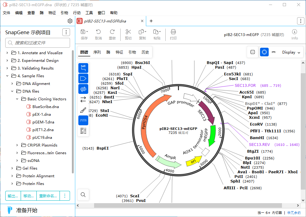 SnapGene 8 Win 中英文最新版下载 永久授权直接安装 - 知乎