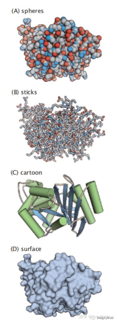 《Protein Actions Principles and Modeling》-《蛋白质作用原理和建模》中文分享（1） - 知乎