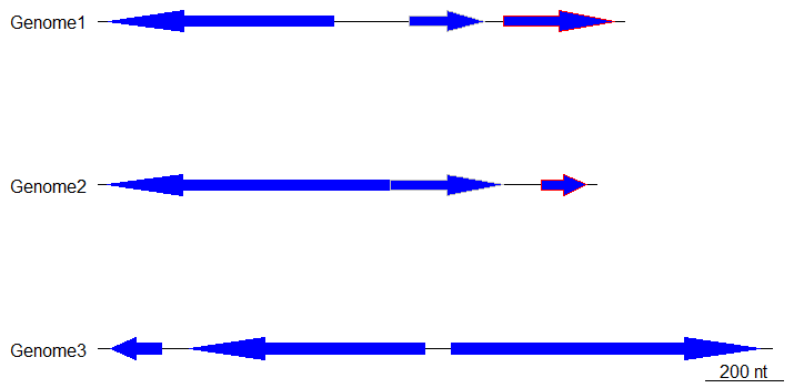 genoPlotR绘制基因组结构（Part I 基础的基因组结构绘制） - 知乎