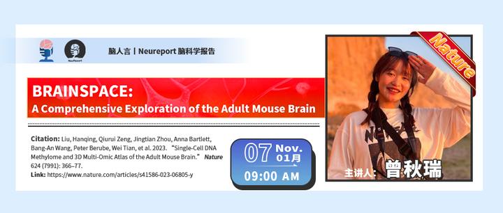 BrainSpace: A Comprehensive Exploration of the Adult Mouse Brain｜Neureport Vol. 50 Preview - 知乎