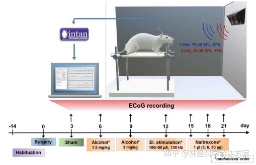 Intan Technologies RHD2000通过利用人工智能和先进的机器学习算法来识别大脑状态 - 知乎