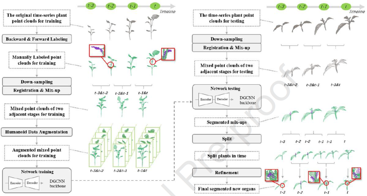 3D-NOD: 通过时空点云深度分割框架检测三维植物生长中的新器官 - 知乎