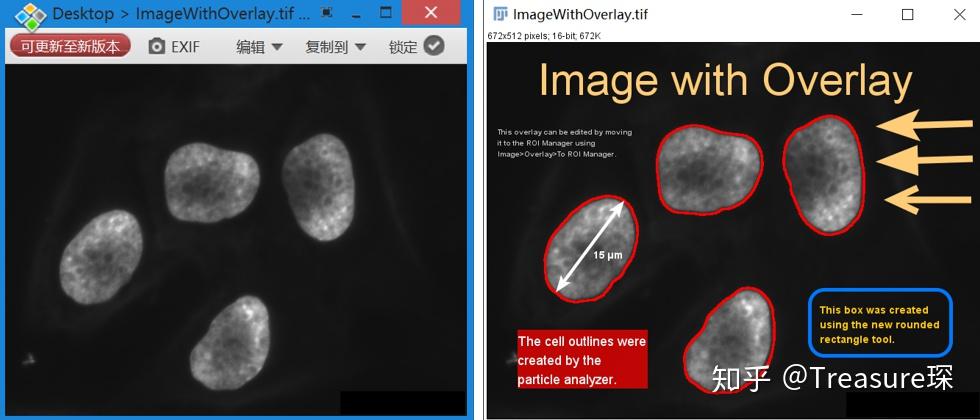 ImageJ实用技巧——图像标注(基本功能篇) - 知乎