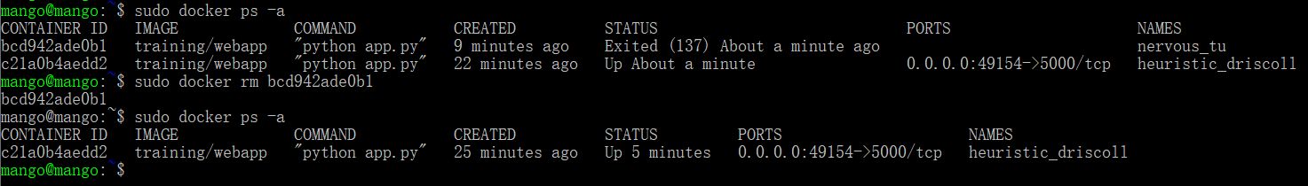在docker中运行测试webapp - 知乎