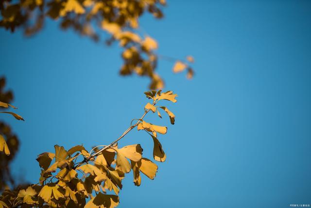 做人做事,这三点很重要 知乎