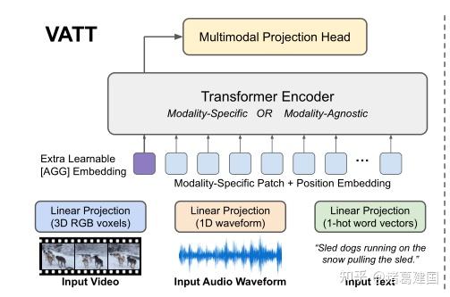 VATT: Transformers for Multimodal Self-Supervised Learning from Raw Video, Audio and Text - 知乎