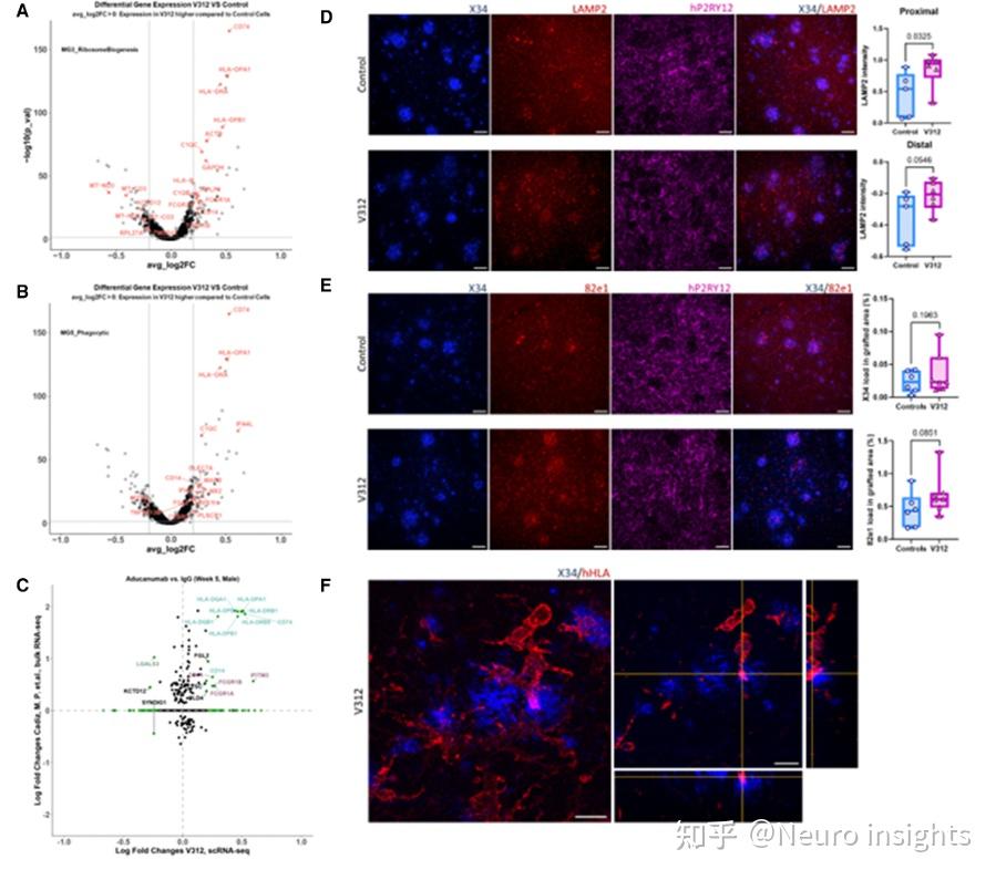 Neuron | 阿尔茨海默病风险基因 MS4A4A 与 MS4A6A 协同负向调控 TREM2 及小胶质细胞状态 - 知乎