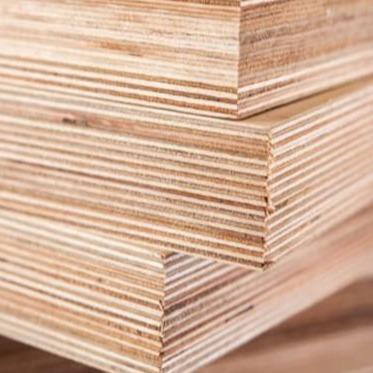 Unlocking Sustainability with Leader's FSC-Certified Plywood - 知乎