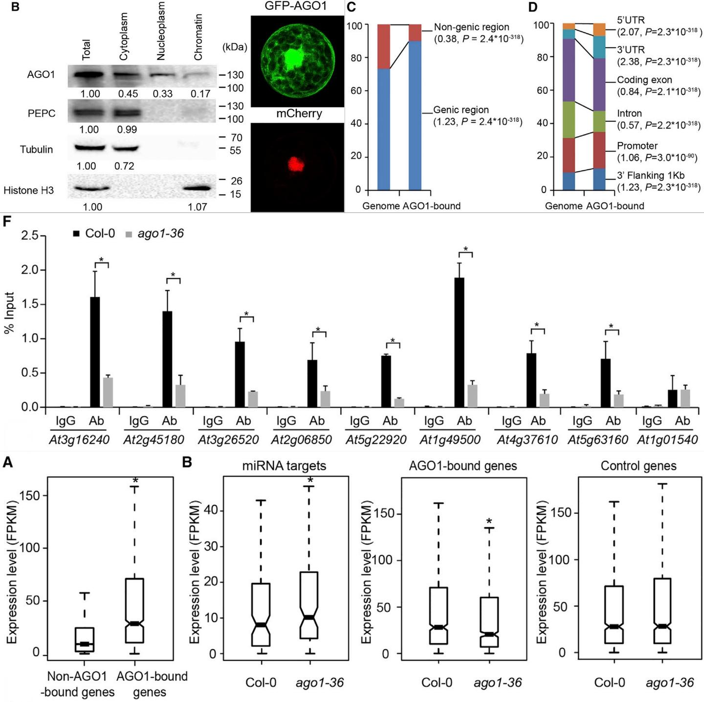 RNA干扰（二）——船蛸 - 知乎