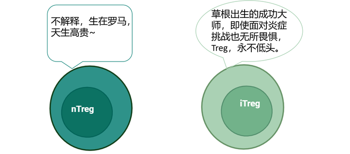 Treg：天然的更好吗？ - 知乎