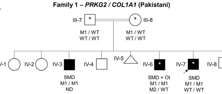 JMG | 基因PRKG2的变异导致骨骼表型异常 - 知乎