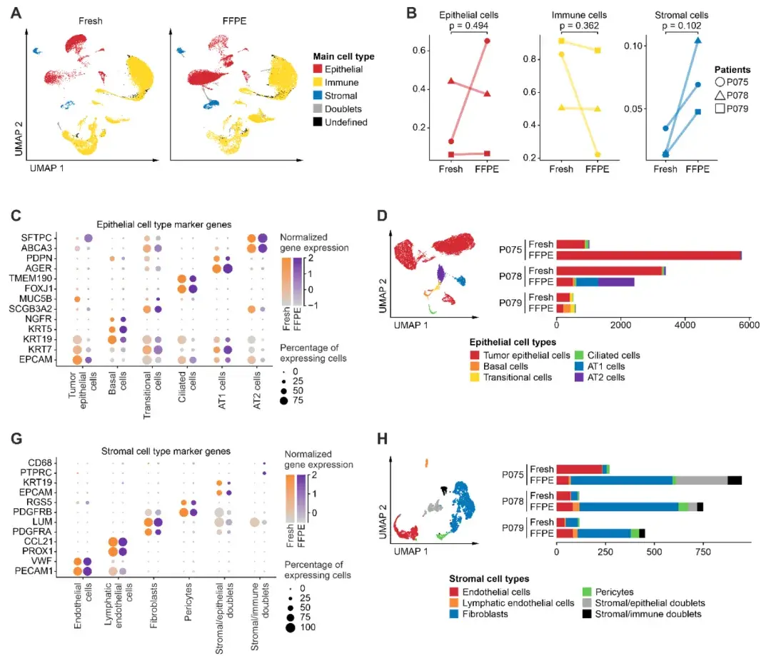 临床转化利器丨FFPE单细胞基因表达Flex，重塑病理研究范式 - 知乎